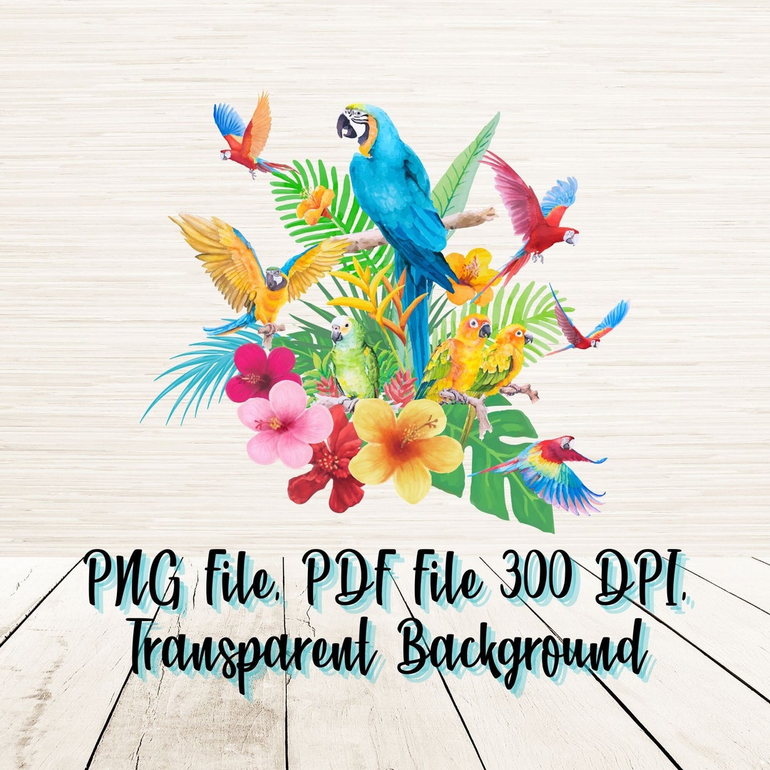Watercolor Macaws PNG File | Digital Download | Nature Lover Art ...