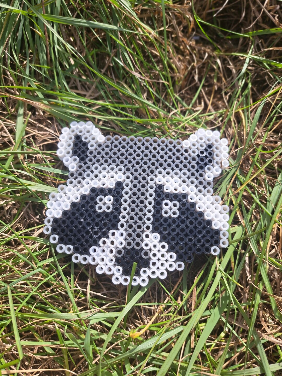 Raccoon Perler Bead Art - Etsy