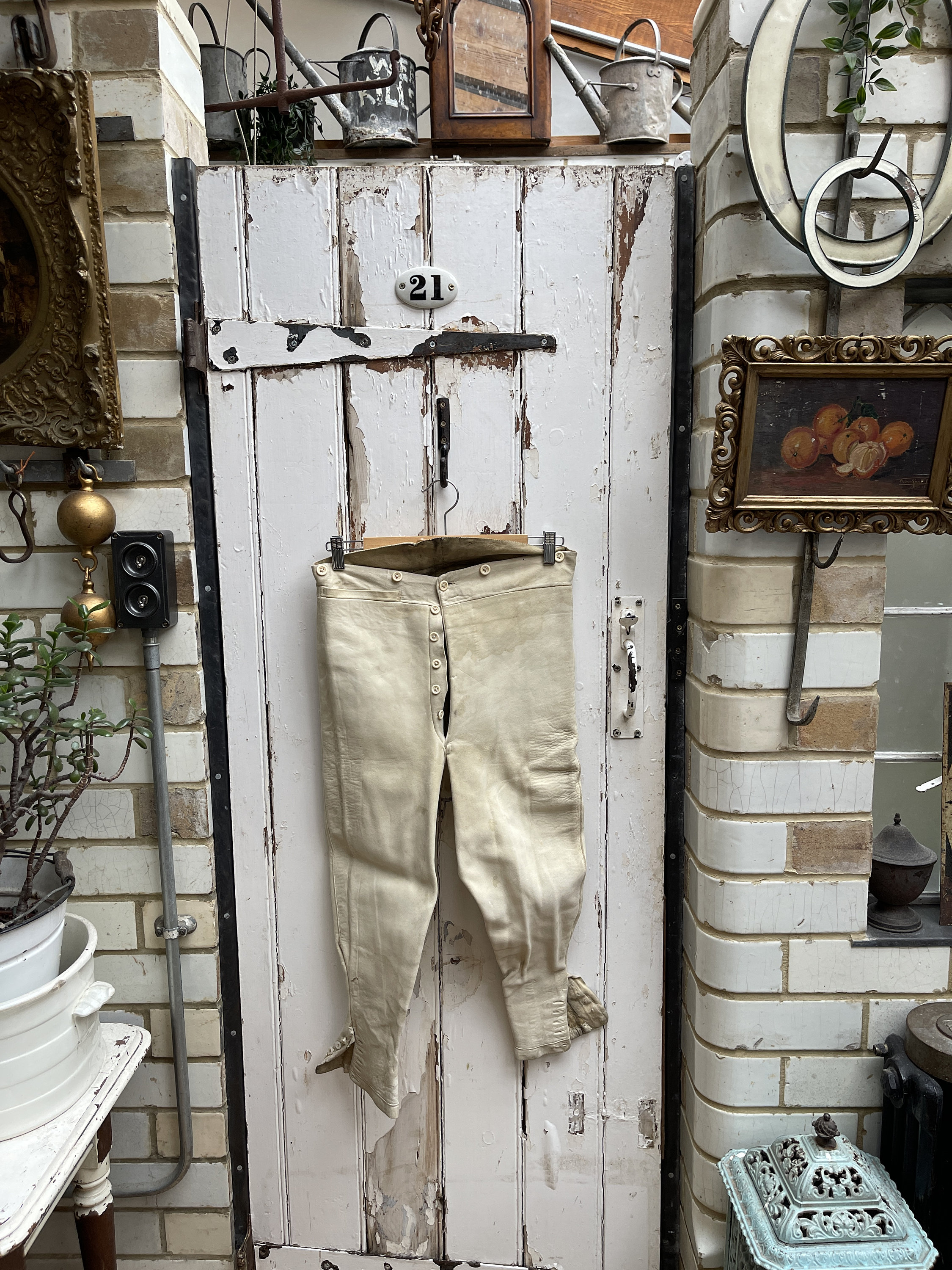Antique Cream Leather Jodhpurs Riding Breeches Knickerbockers Plus ...