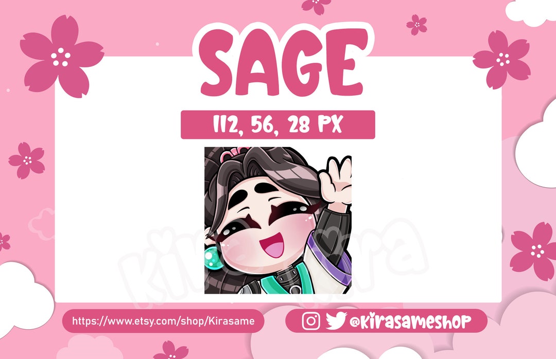 Valorant Emotes Sage Hi Emote Twitch/discord/youtube Cute Emotes ...