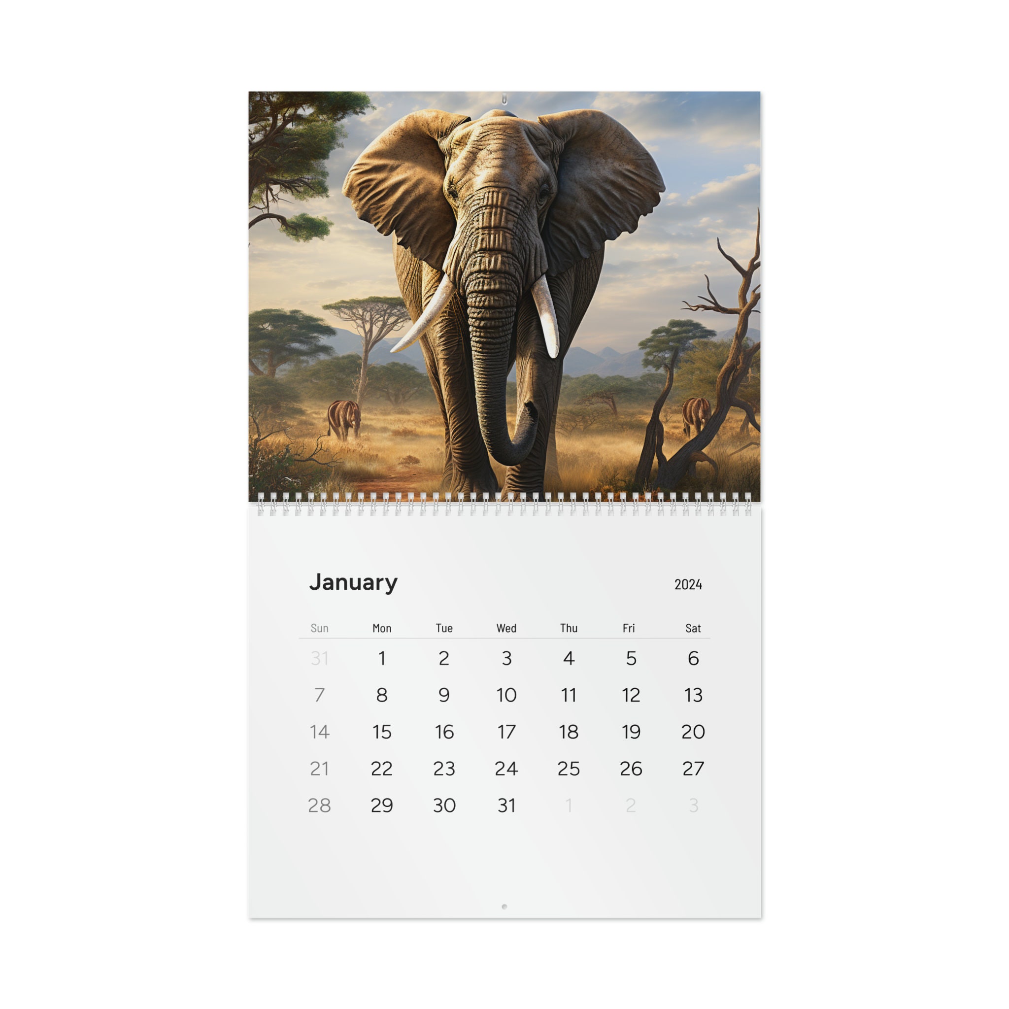 Wild Animals Wall Calendar (2024) - Etsy
