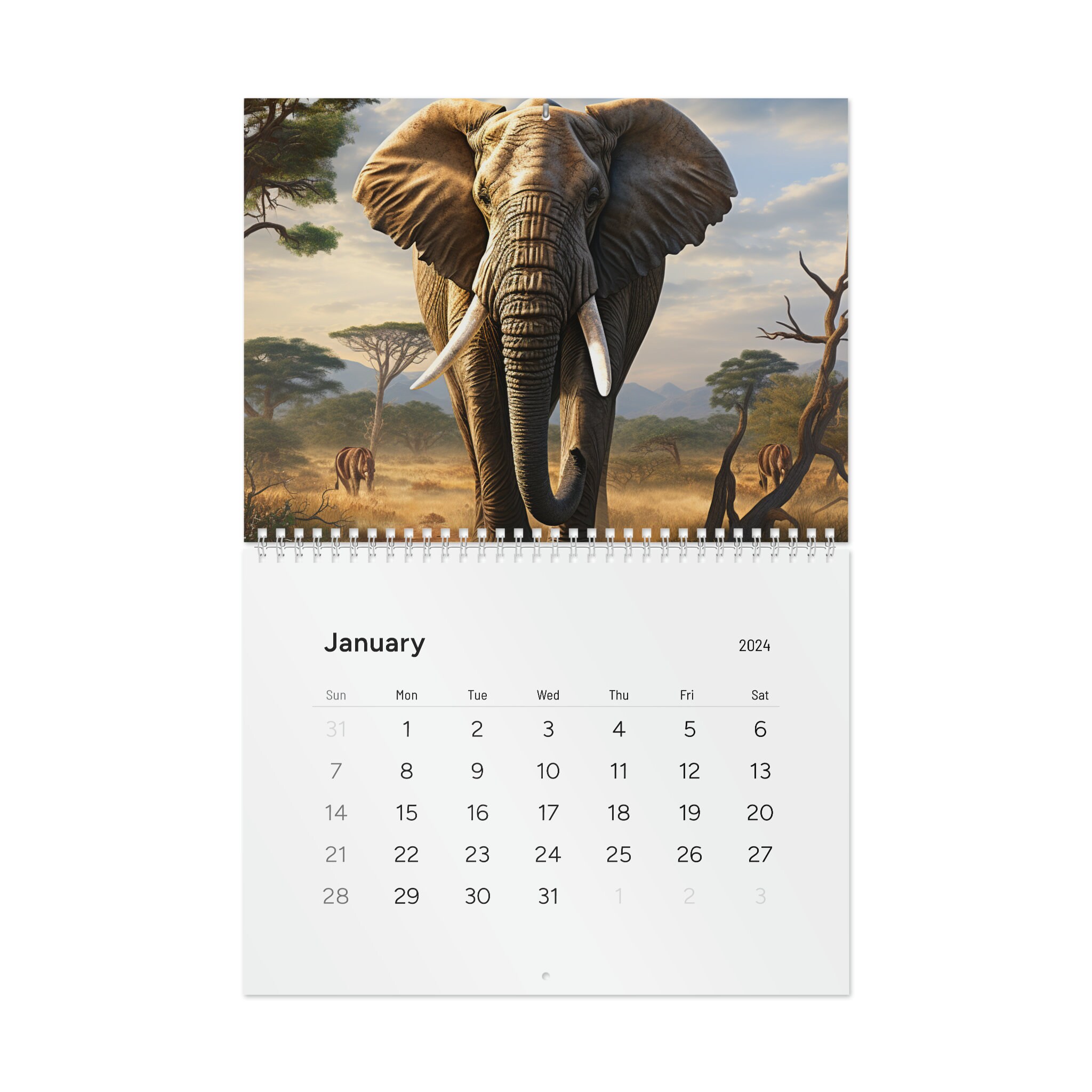 Wild Animals Wall Calendar (2024) - Etsy