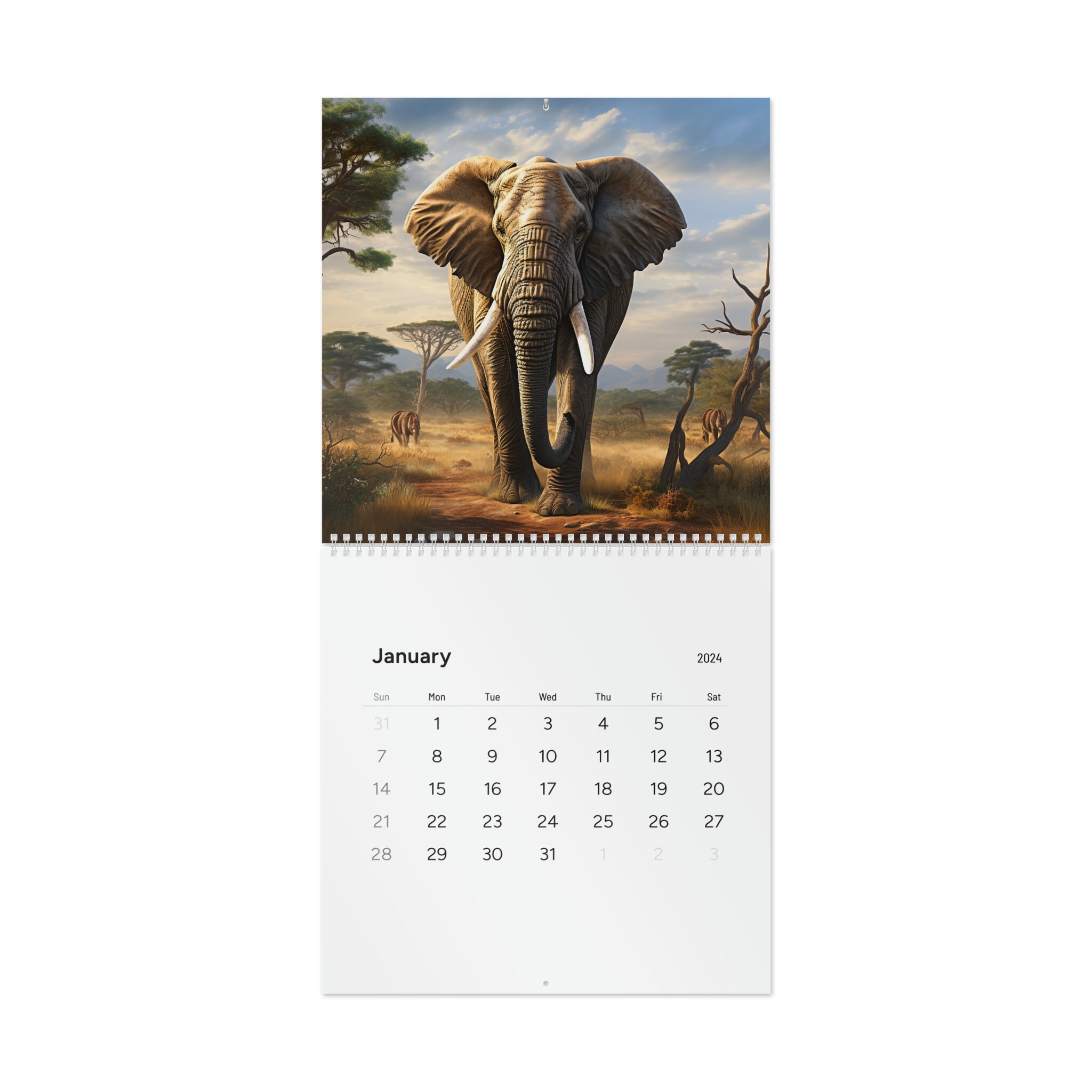 Wild Animals Wall Calendar (2024) - Etsy