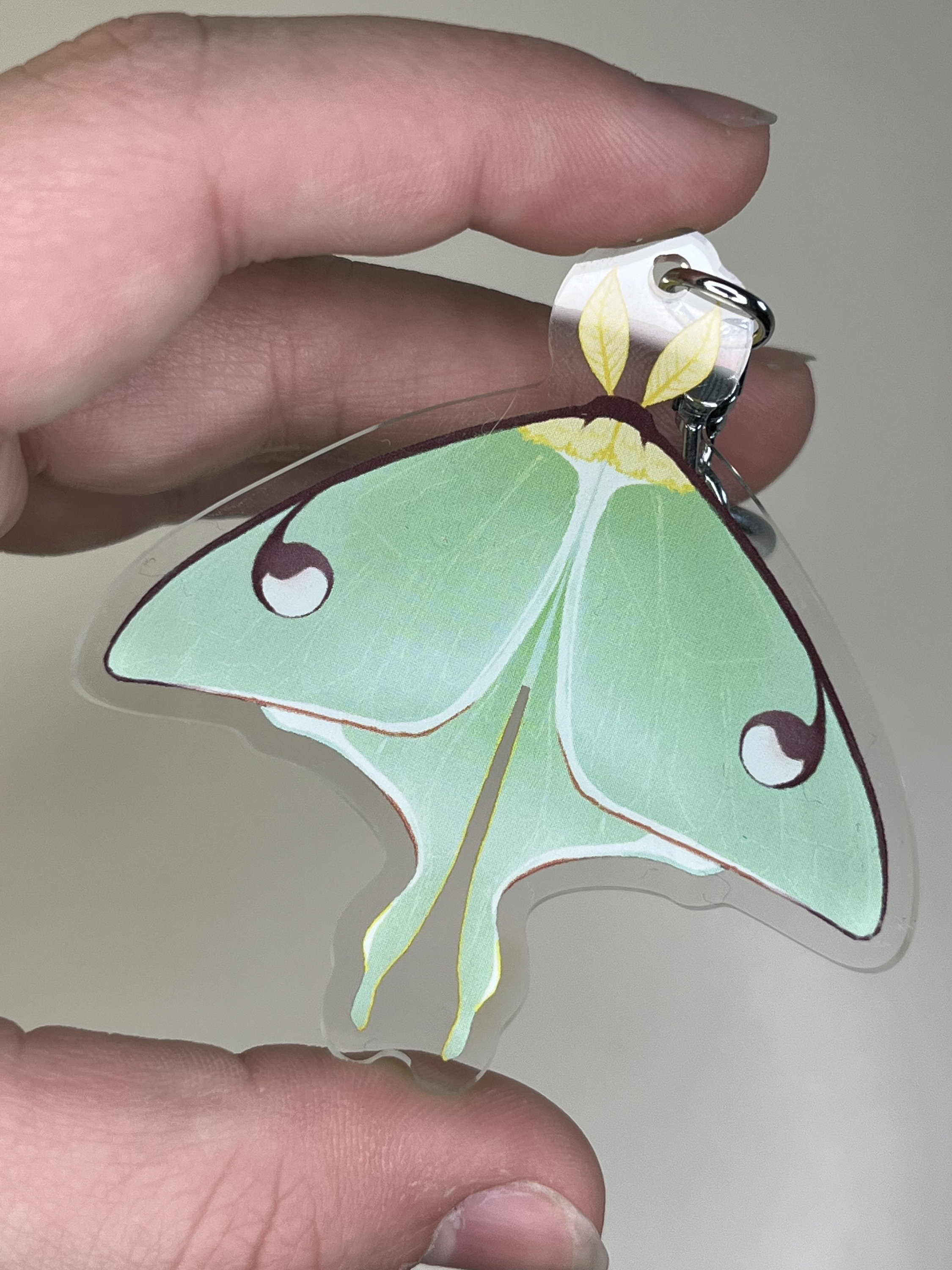 Luna Moth Acrylic Keychain - Etsy