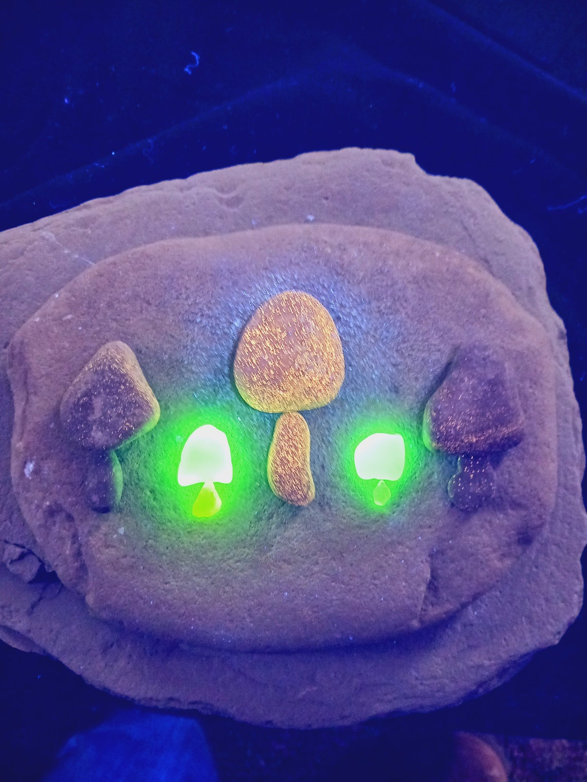 Rare URANIUM Beach GLASS and Emberlite MUSHROOMS on Shale Original Art ...