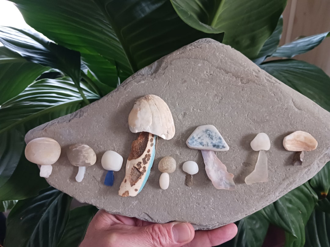 MUSHROOMS on BEACH Stone Original Artwork Beachglass, Shell, Otoliths ...