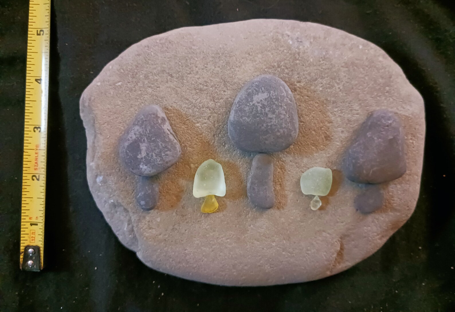 Rare URANIUM Beach GLASS and Emberlite MUSHROOMS on Shale Original Art ...