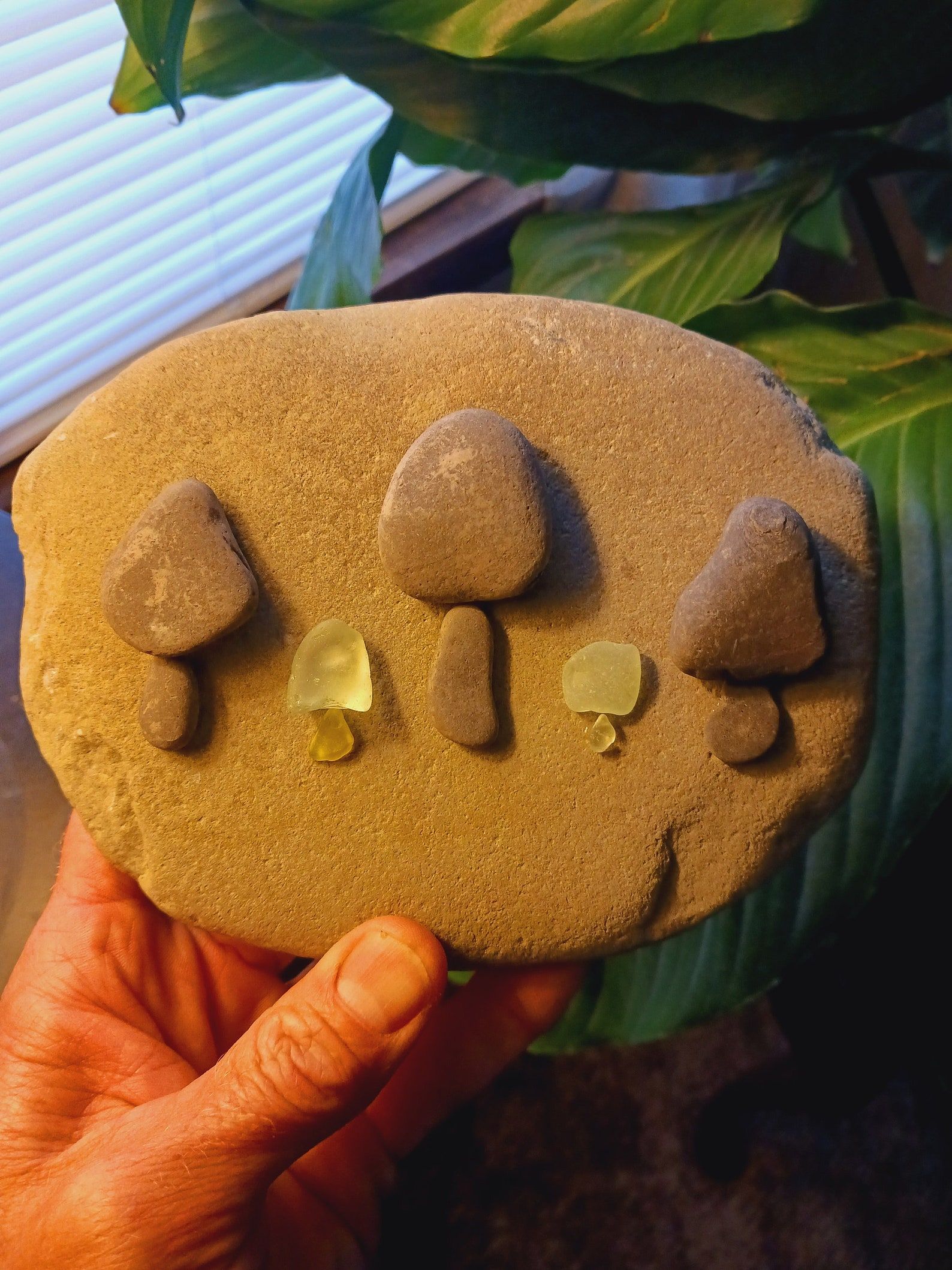 Rare URANIUM Beach GLASS and Emberlite MUSHROOMS on Shale Original Art ...