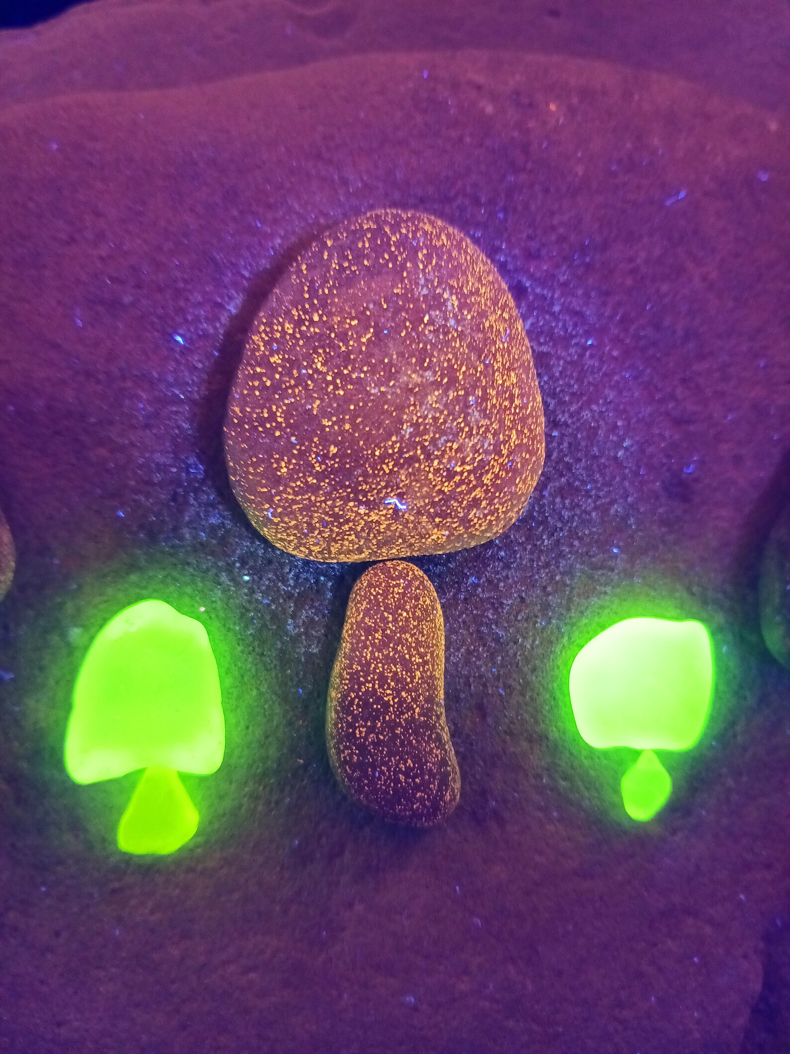 Rare URANIUM Beach GLASS and Emberlite MUSHROOMS on Shale Original Art ...