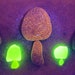Rare URANIUM Beach GLASS and Emberlite MUSHROOMS on Shale Original Art ...