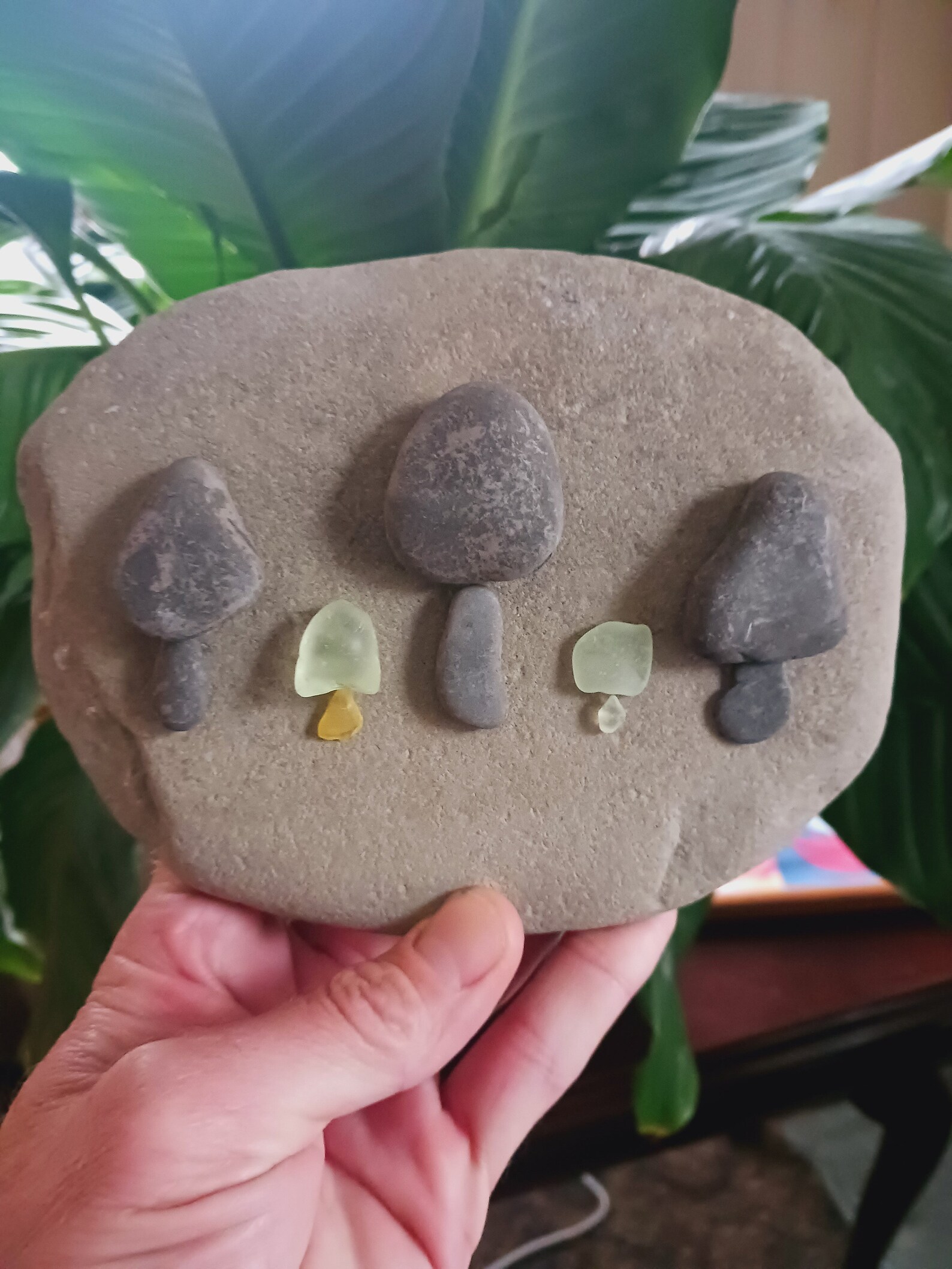 Rare URANIUM Beach GLASS and Emberlite MUSHROOMS on Shale Original Art ...