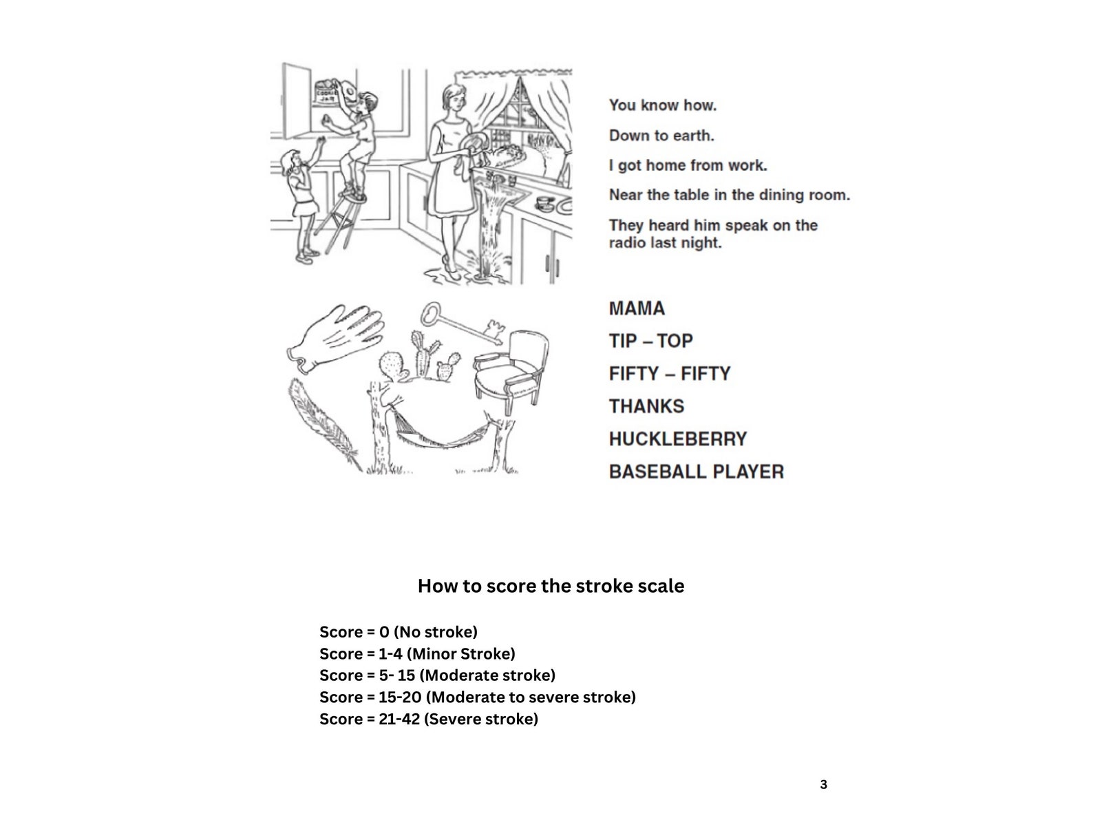 Stroke Scale, Stroke Assessment Tool, Stroke Assessment for Neuro, ER ...