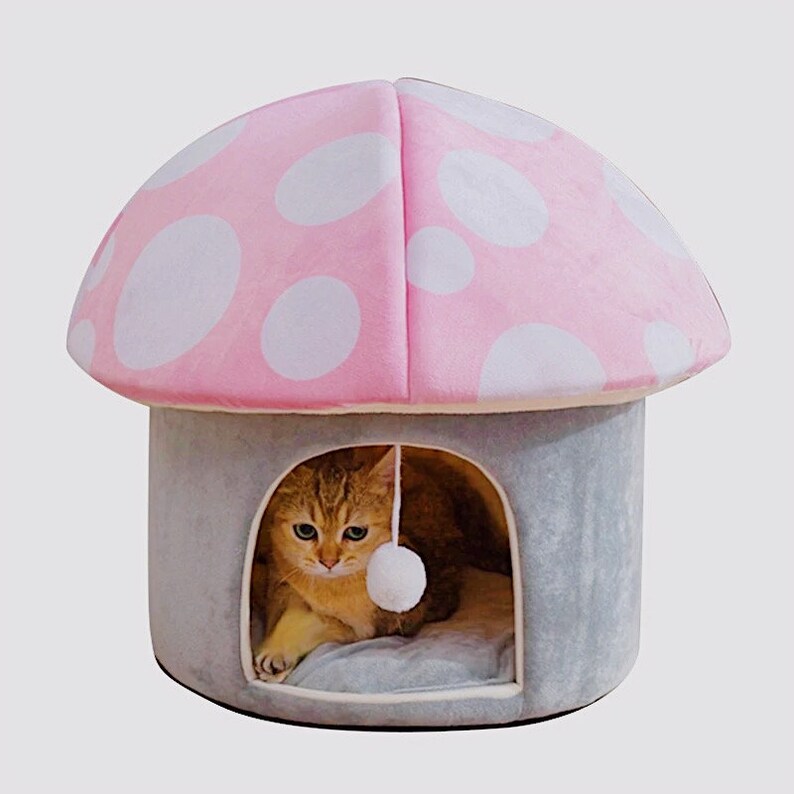 Mushroom Cat Bed Cute House Cot for Cats Pink Blue Cat - Etsy