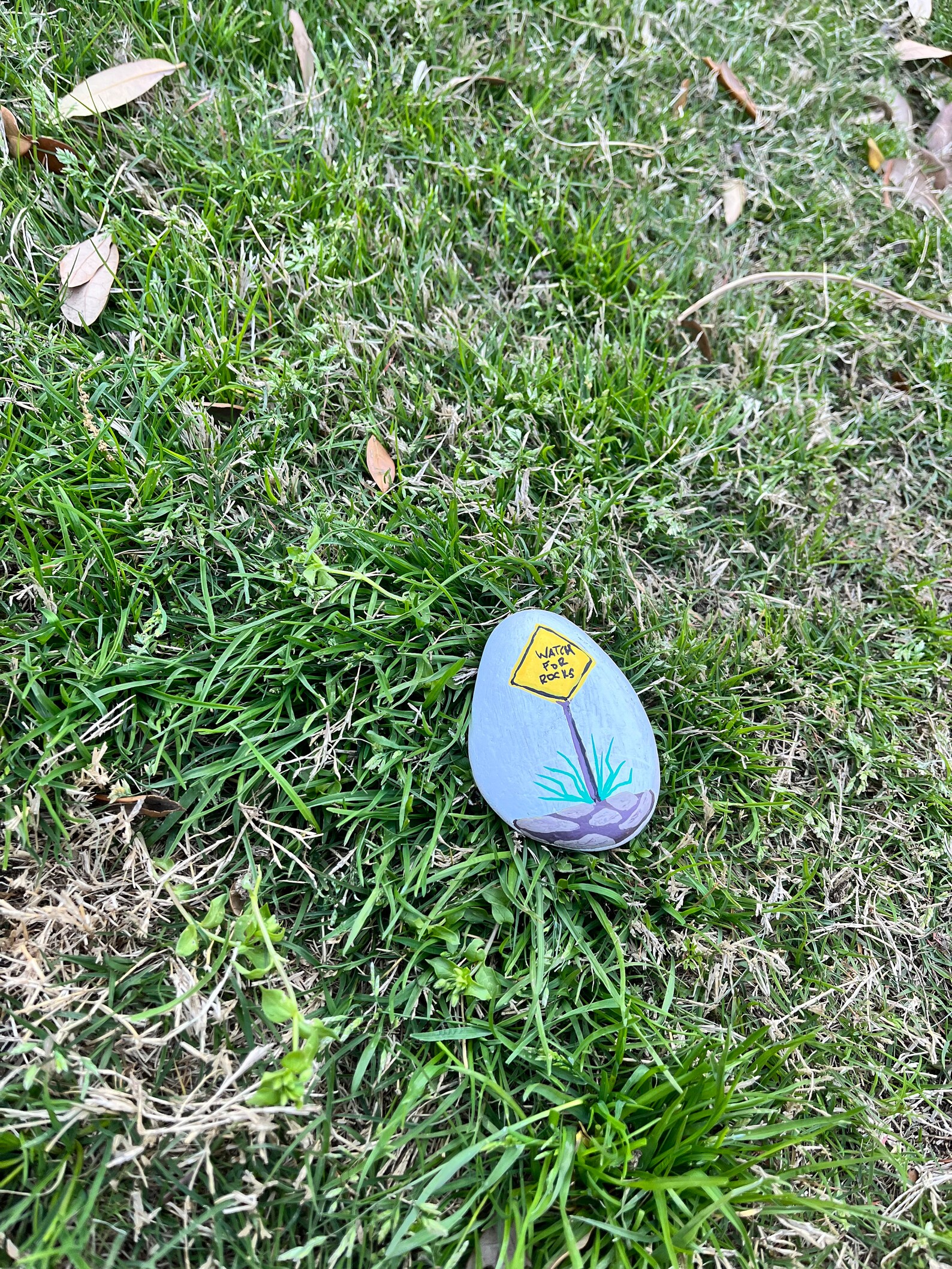 Decorative Garden Rock-“watch for Rocks” Sign - Etsy