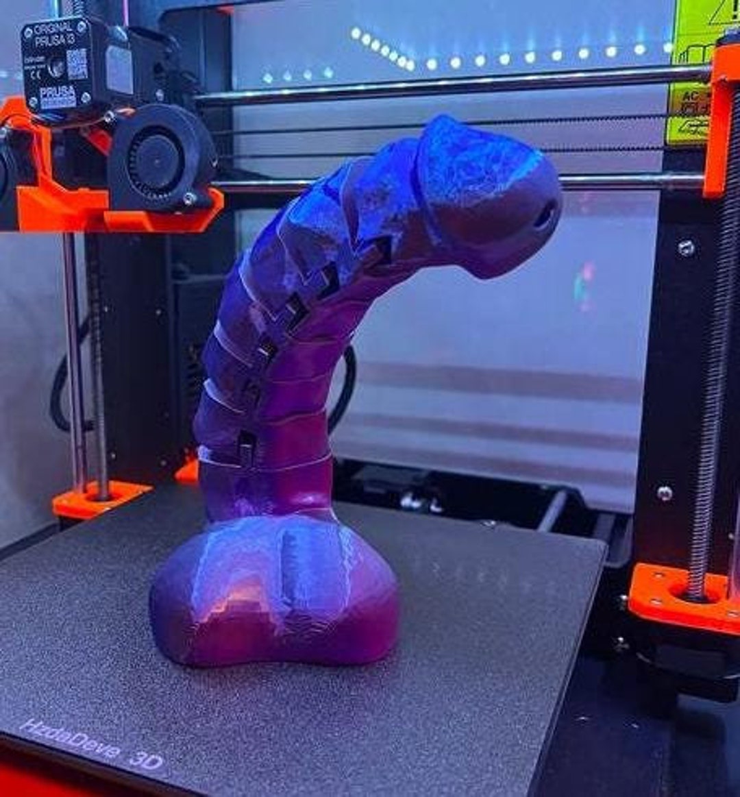 Large Articulated Penis 3D Print, NSFW Funny Weiner Balls Fidget Toy, Flexible Dick Decor, Gag ...