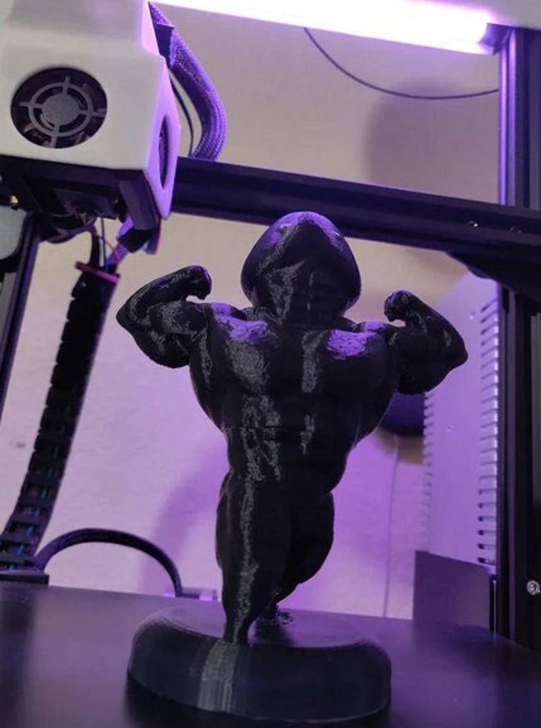 Ultra Swole Weiner Figure 3d Print, Penis Body Builder Sculpture, Funny ...