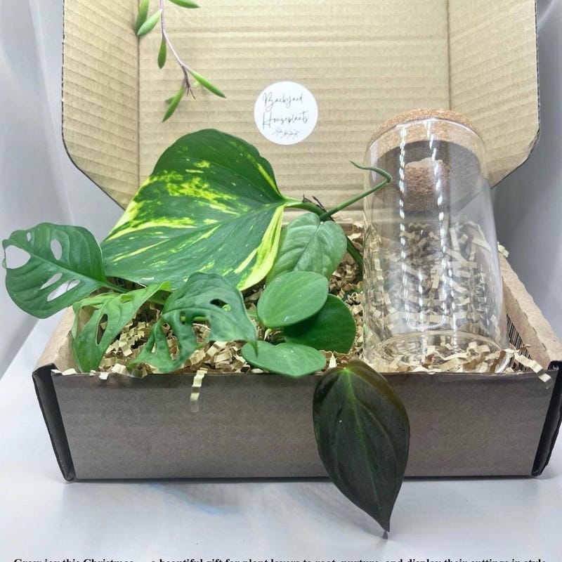 Unique Care Station - Etsy UK