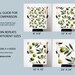 Olive Design Digital Paper Seamless Patterns for Print on Demand ...