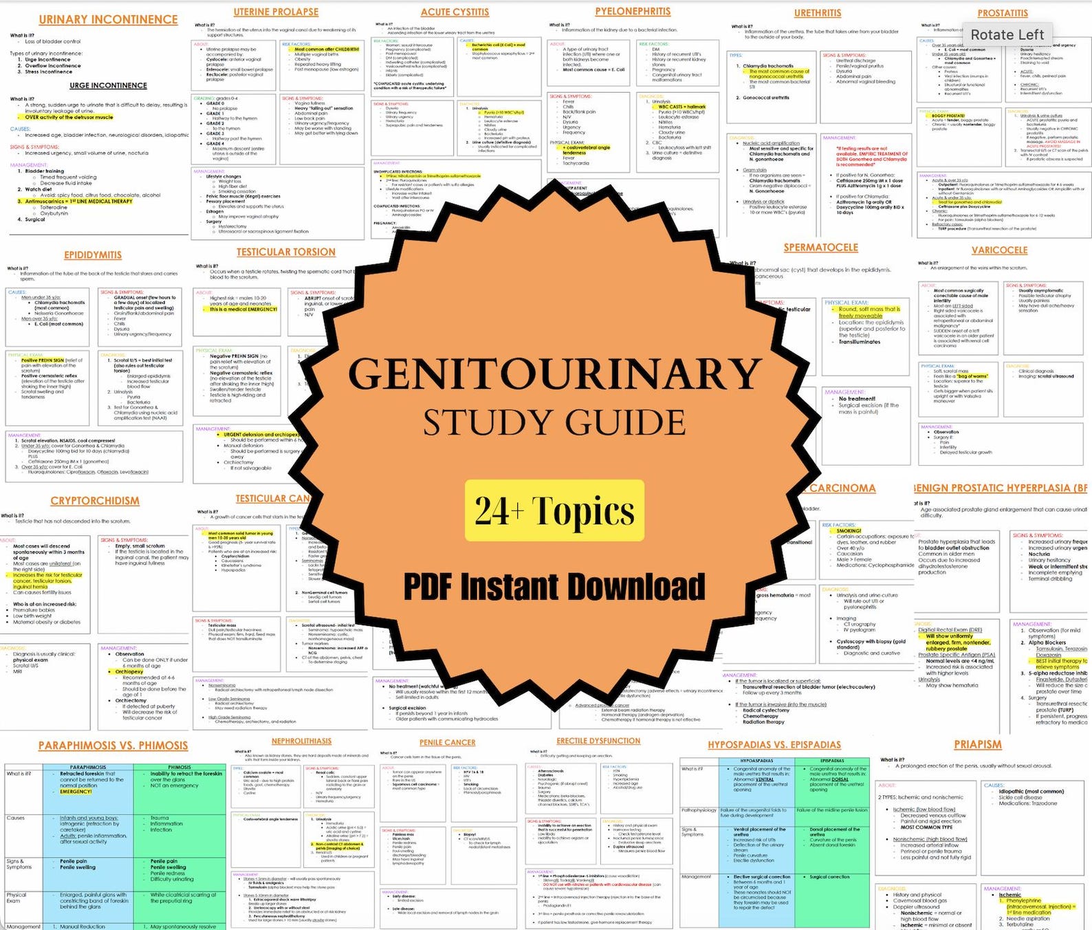 Genitourinary (GU) Study Guide | Medical, Physician Assistant, Nurse ...