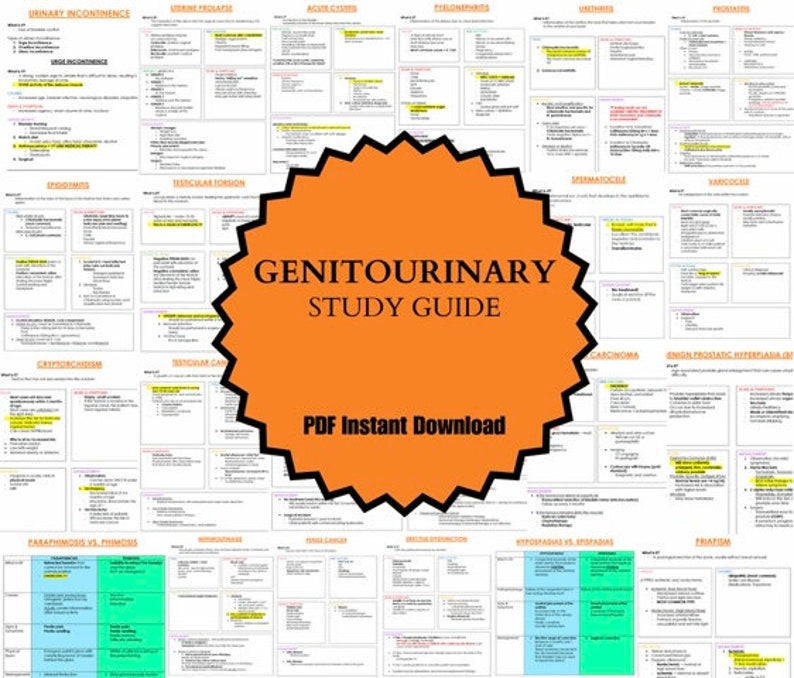 Genitourinary GU Study Guide Medical, Physician Assistant, Nurse ...