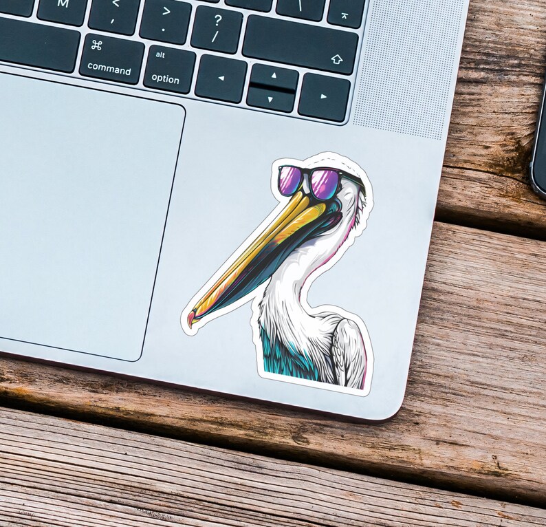 Cool Pelican Sticker With Sunglasses, Vinyl Decal - Etsy