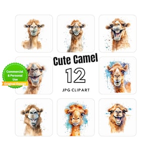 Cute Camel Clipart Collection - 12 Clipart Image, Camel Design -for ...