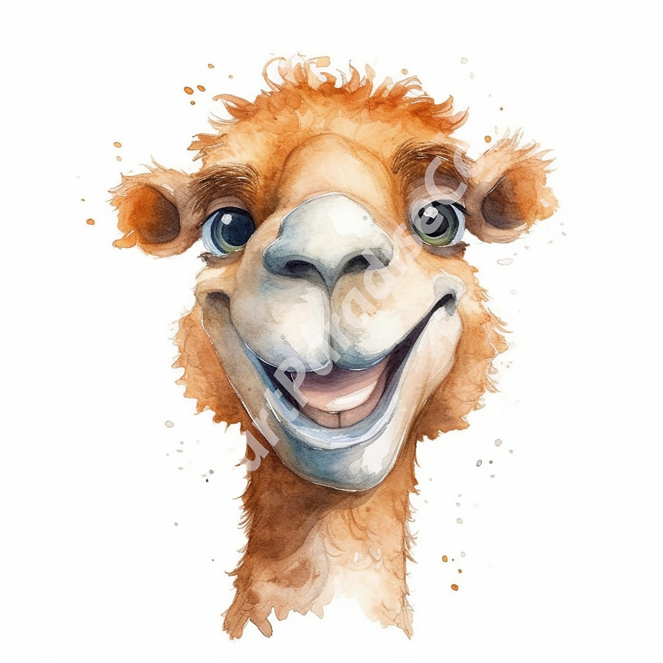 Cute Camel Clipart Collection 12 Clipart Image Camel Design - Etsy