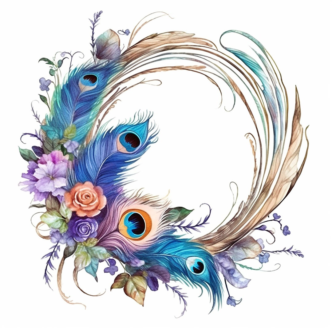 6 Ring of Feather Clipart Collection:6 High Quality Images for Digital ...