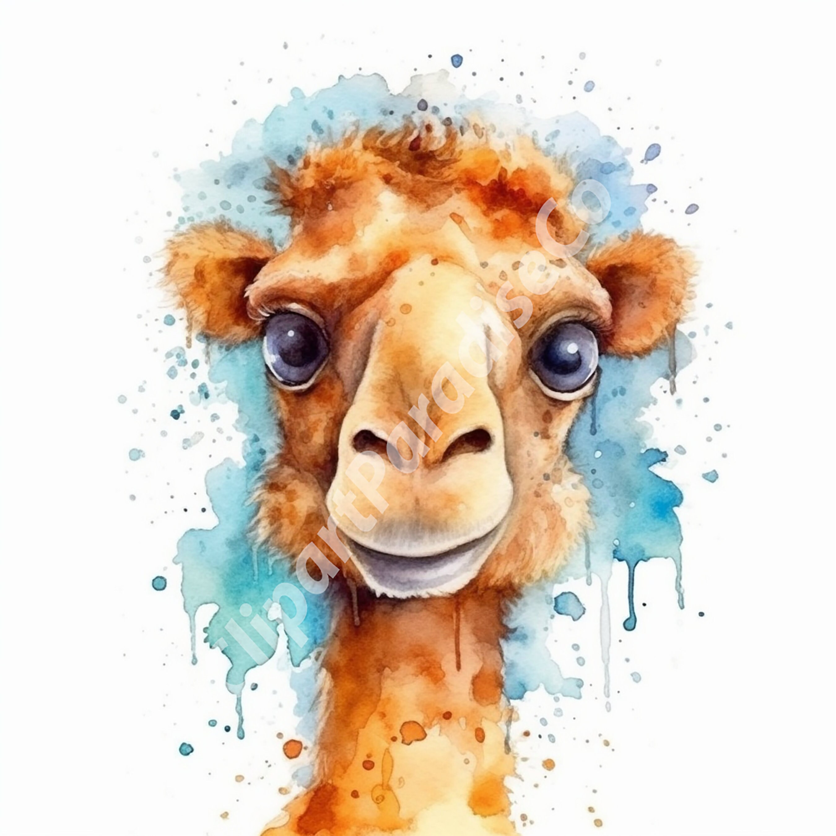 Cute Camel Clipart Collection 12 Clipart Image Camel Design - Etsy