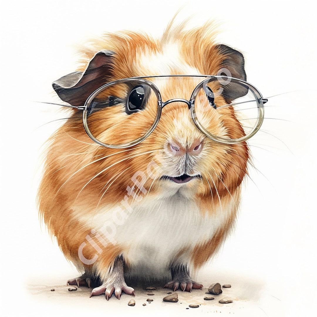 9 Cute Guinea Pig Clip Art Collection: 9 High Quality Images for ...