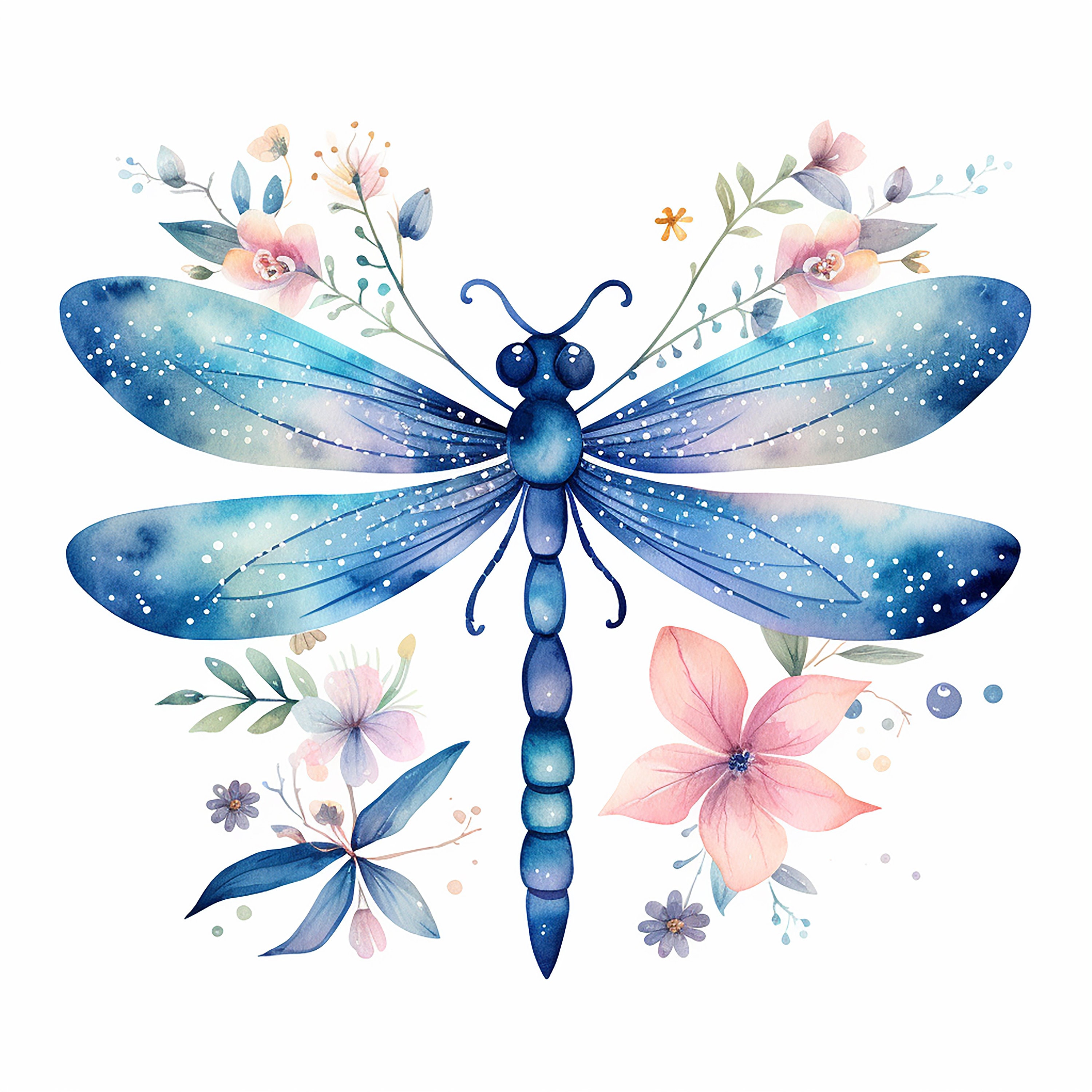 12 High Quality Dragonfly Clipart Collection, Digital Download- Perfect ...