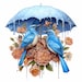 8 Birds Umbrella Clipart : 8 High Quality Images Collection -perfect ...