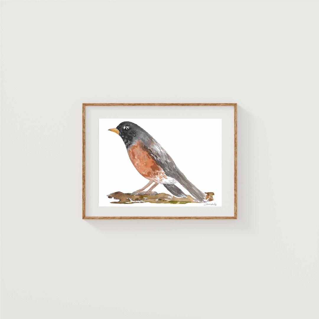 American Robin Bird Painting Robin Bird Art Watercolor Bird Art Print ...