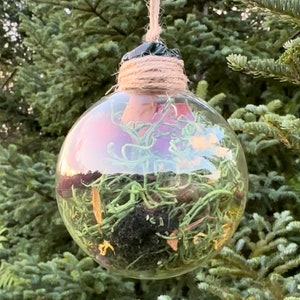 Home Protection Witch Ball Sealed With Bloodstone | Anti-anxiety Witch ...