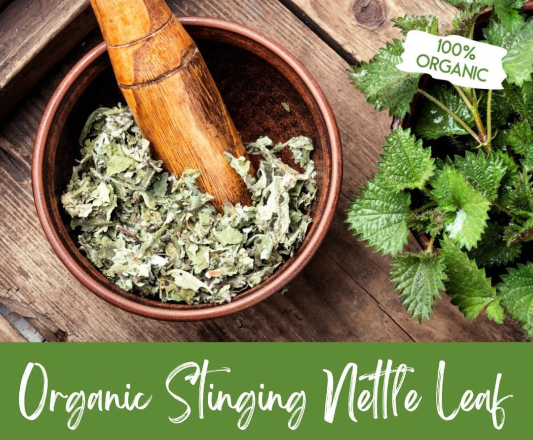Organic Stinging Nettle Leaf: Cut & Sifted Witch Herb - Etsy