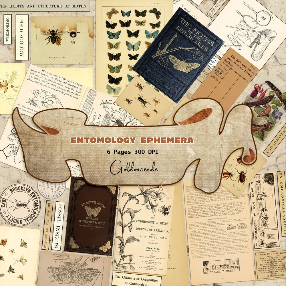 Entomology Ephemera: Vintage Insect Scrapbooking Printables (digital ...