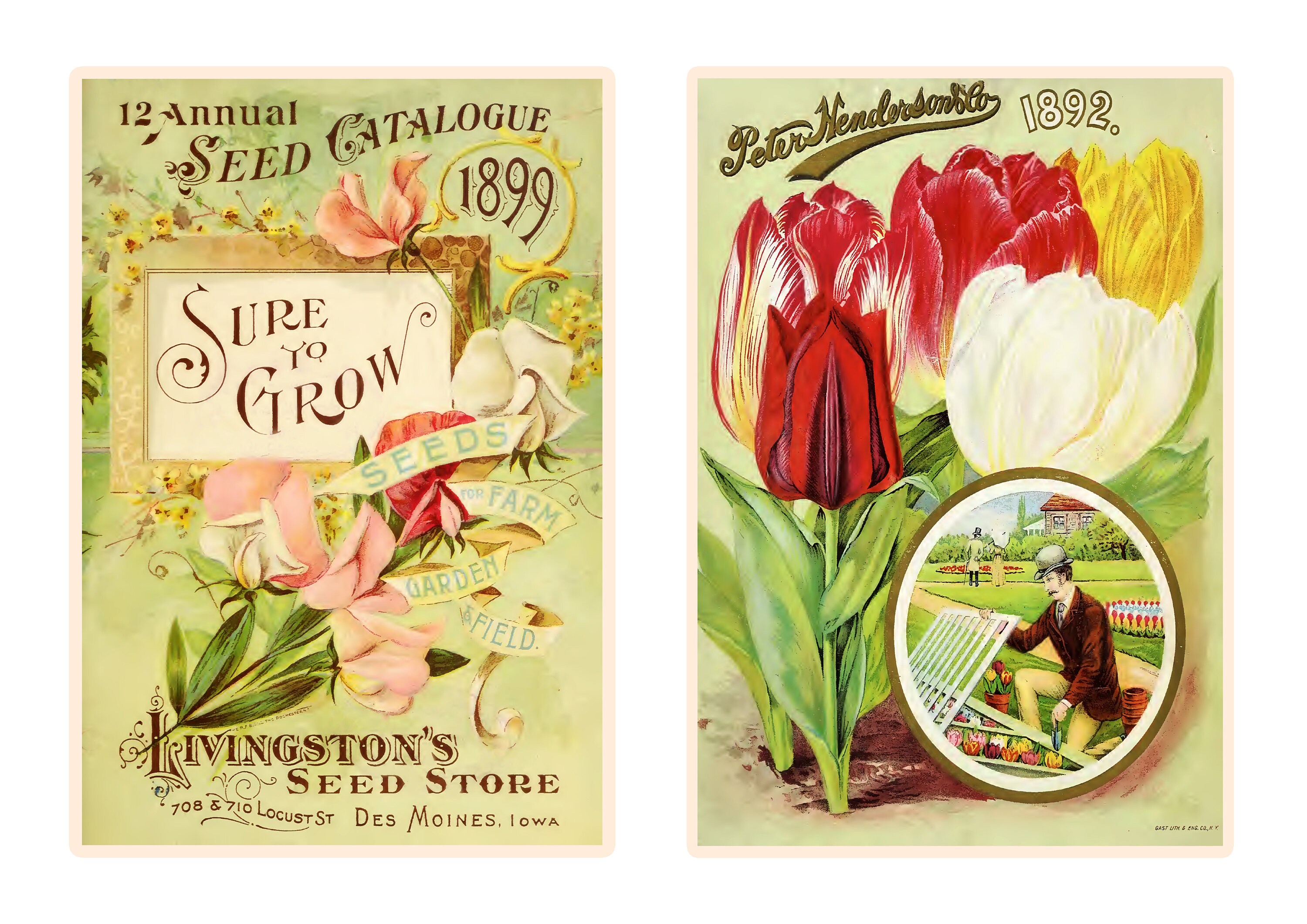 Vintage Seed Catalog Journal Cards & Images. - Etsy