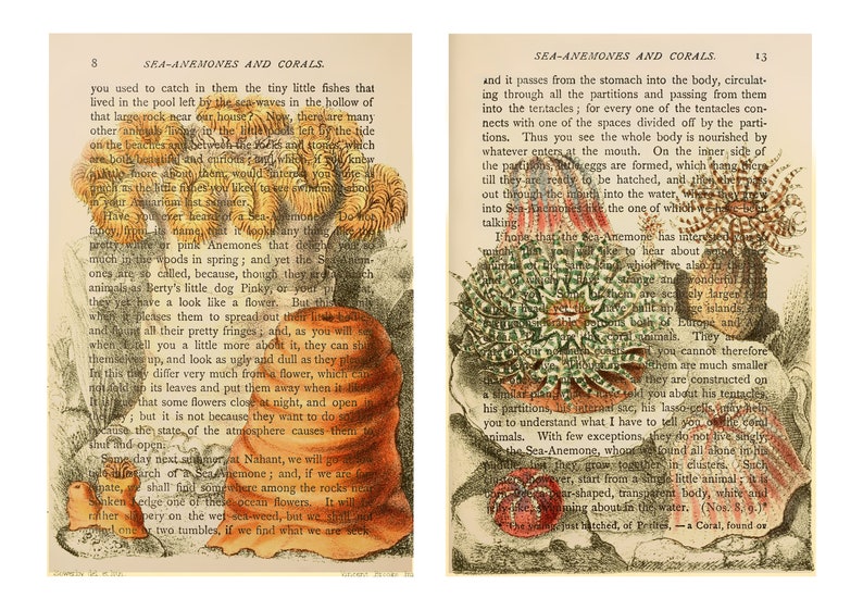 SEA ANEMONES Printable Journal Cards Digital Download Printable Image ...
