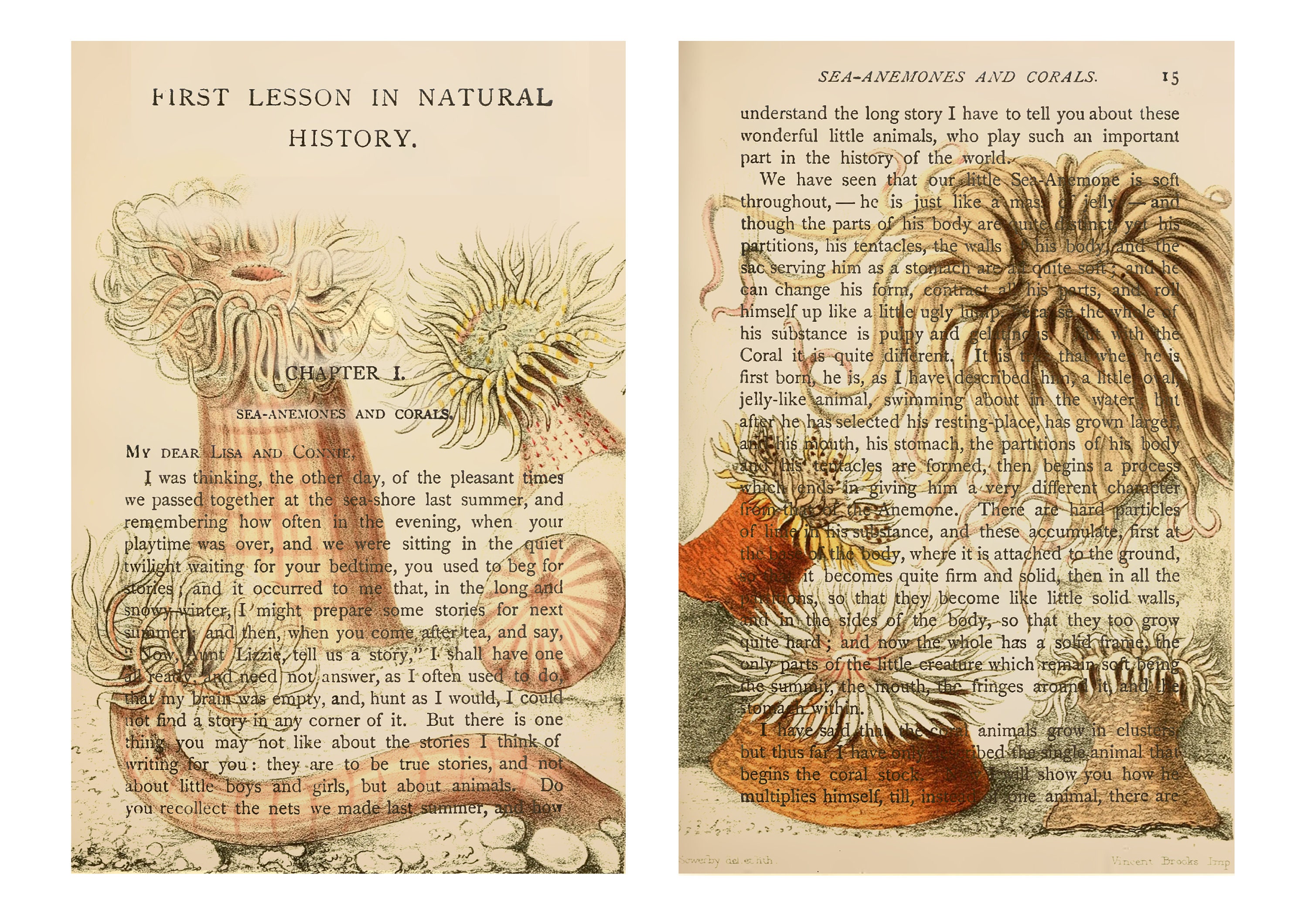 SEA ANEMONES Printable Journal Cards Digital Download Printable Image ...