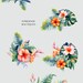 Watercolor Tropical Floral Clipart, Summer Floral Tropical Elements ...