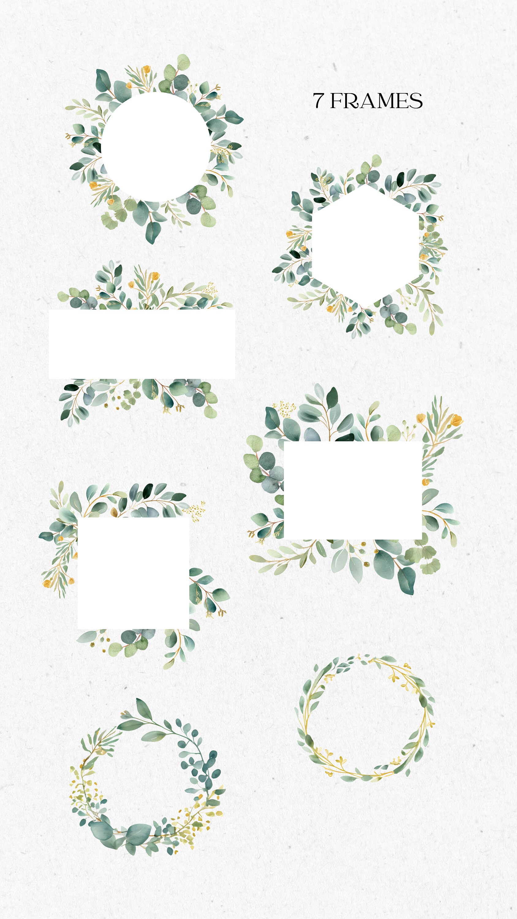 Watercolor Eucalyptus Leaves Clipart, Eucalyptus Shower Greenery ...