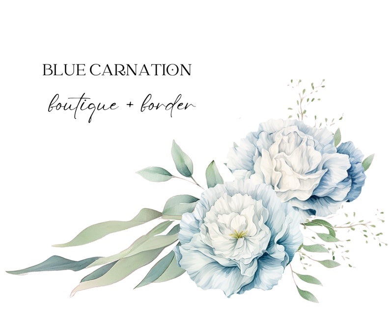 Watercolor Blue Carnation Clipart Carnation Floral Clipart - Etsy