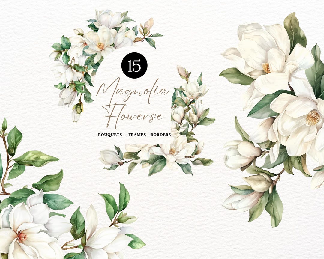 Watercolor White Magnolia Floral Watercolor Graphics Magnolia Clipart ...