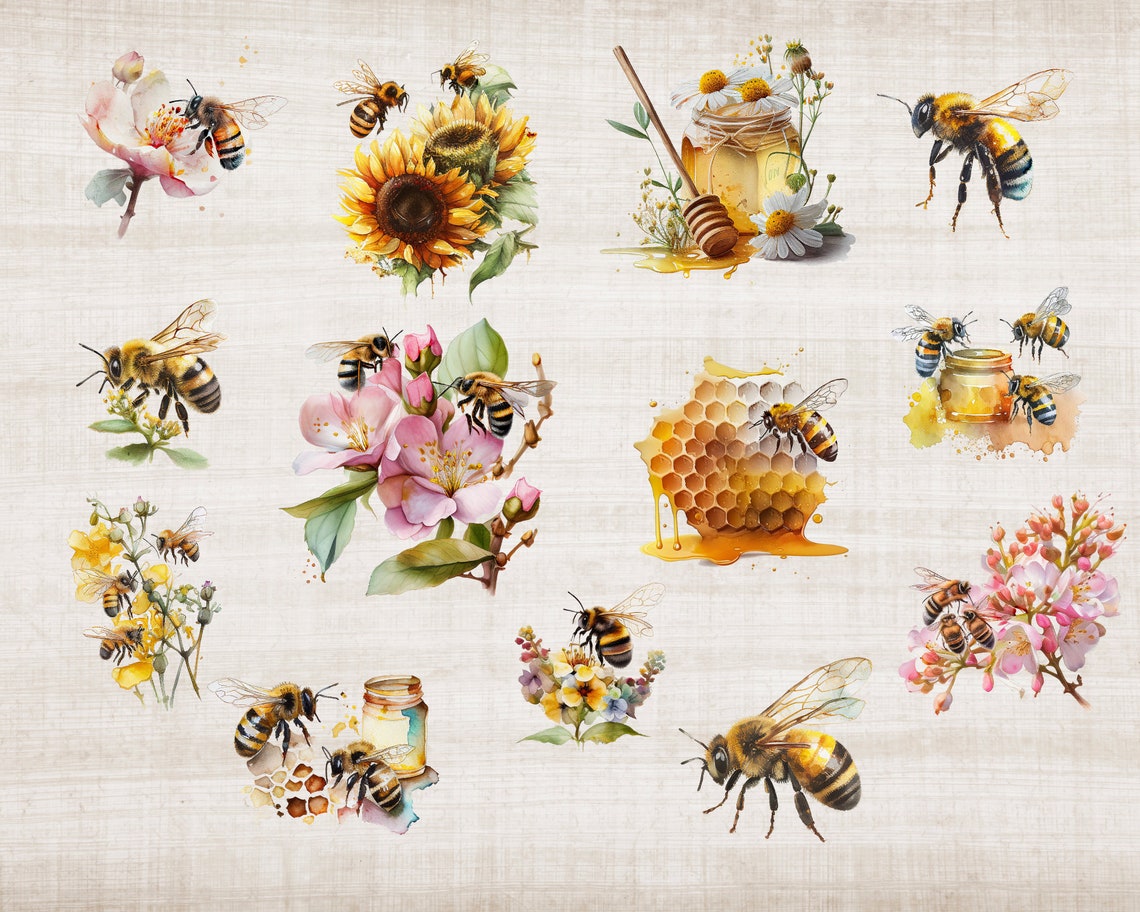 24 Watercolor Honeybee Clipart Bundle Garden Bee and Honey - Etsy
