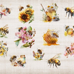 24 Watercolor Honeybee Clipart Bundle, Garden Bee and Honey Drips ...