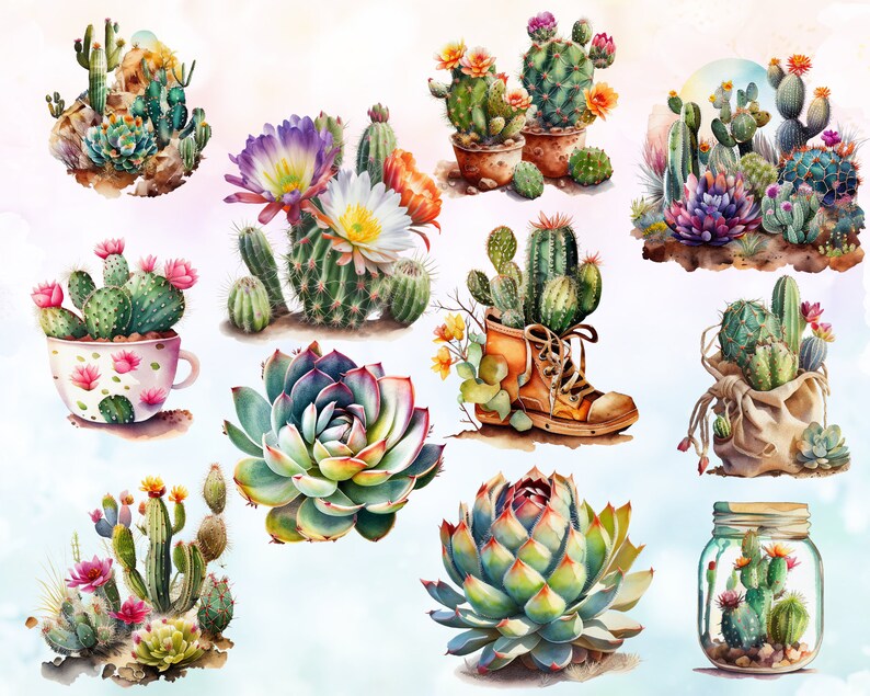 Watercolor Cactus Clipart Bundle, Potted Succulent PNG, Mexican Cactus ...