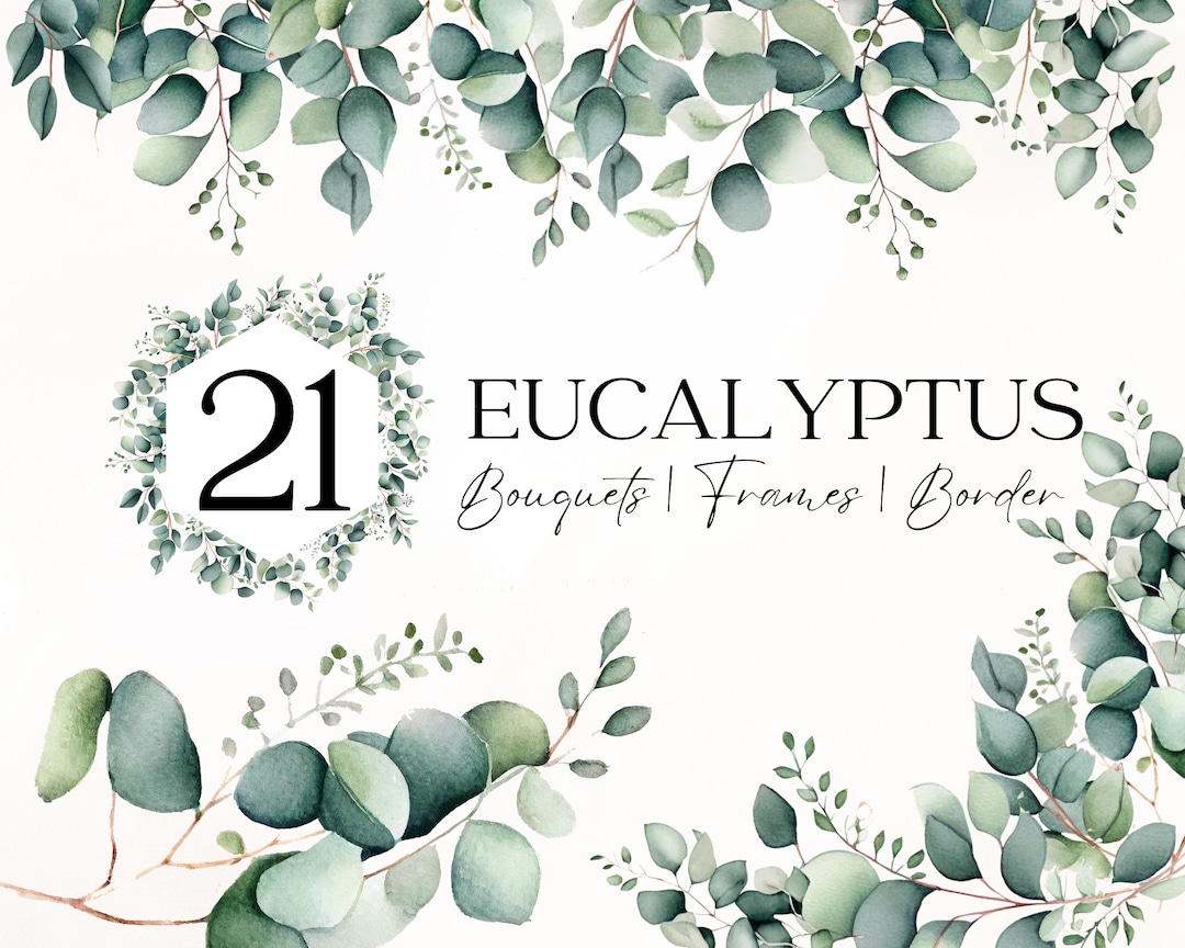 Watercolor Eucalyptus Leaves Clipart, Eucalyptus Shower Greenery ...