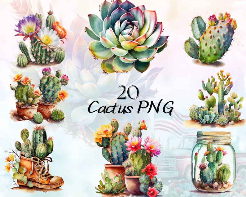 Watercolor Cactus Clipart Bundle, Potted Succulent PNG, Mexican Cactus ...
