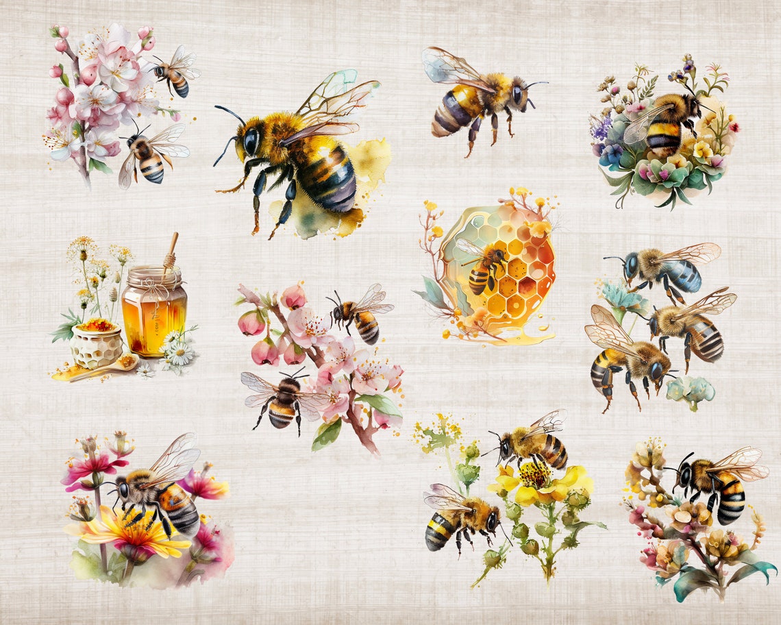 24 Watercolor Honeybee Clipart Bundle Garden Bee and Honey - Etsy
