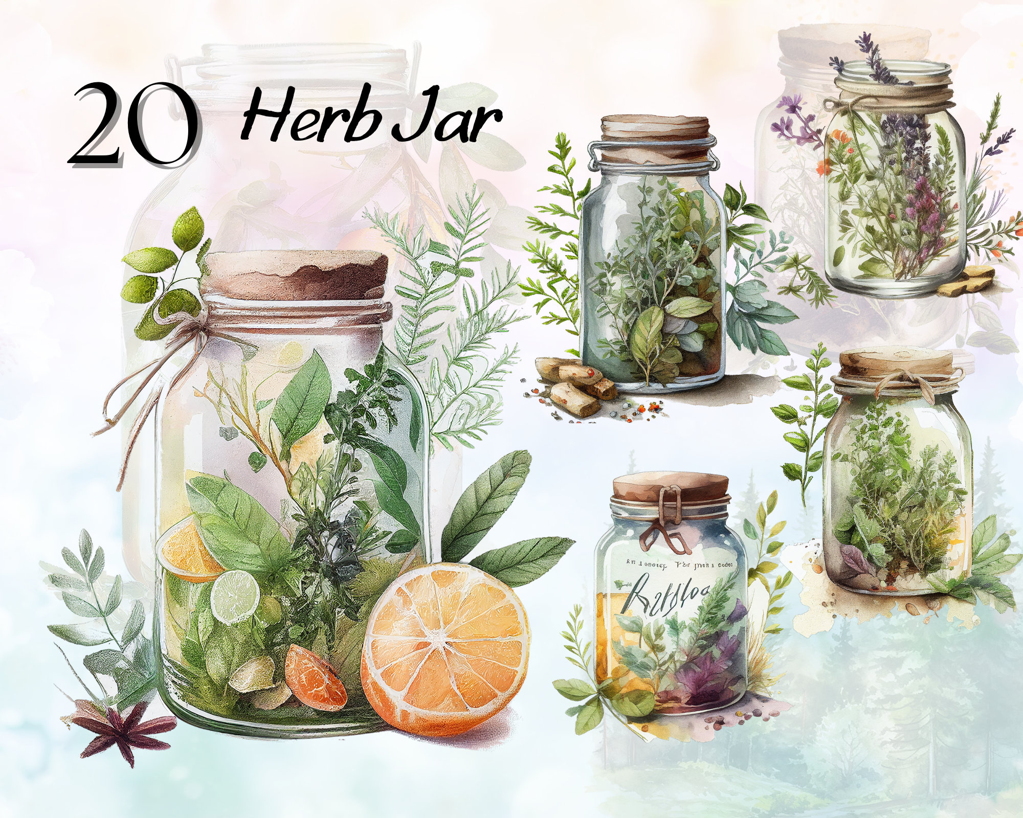 Watercolor Herb Jar Clipart, Herb Jar PNG, Watercolor Herbs and Spices ...